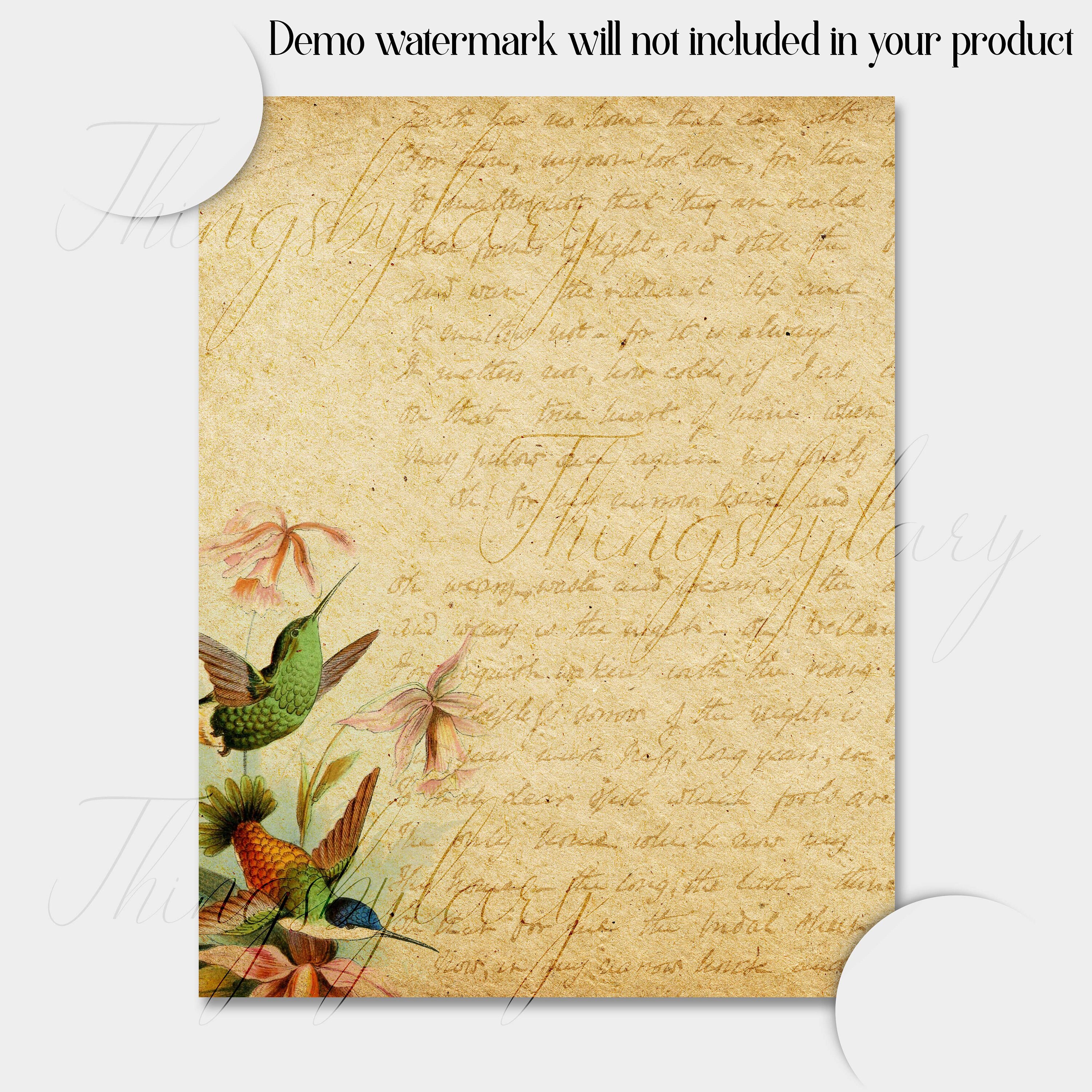 16 Antique Humming Birds Digital Papers 8.5x11 300 Dpi - Etsy