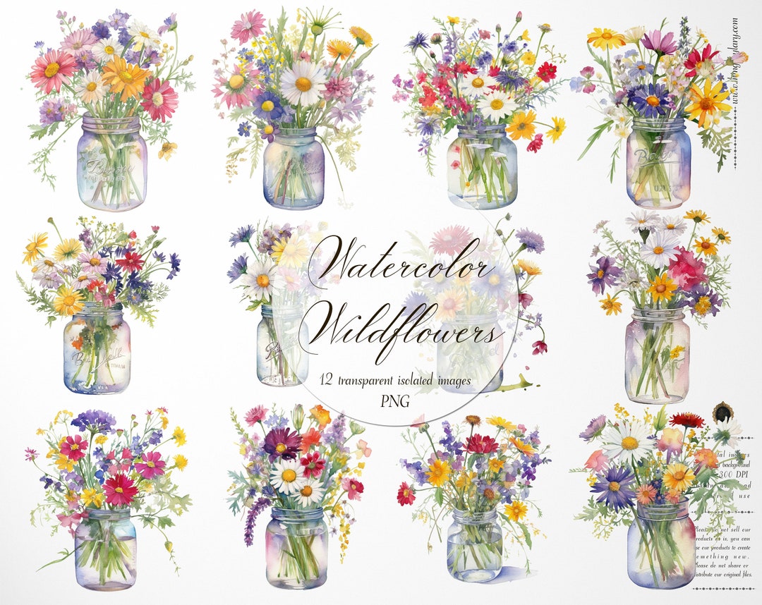 12 Watercolor Wildflower in a Mason Jar Ephemera Isolated Transparent ...