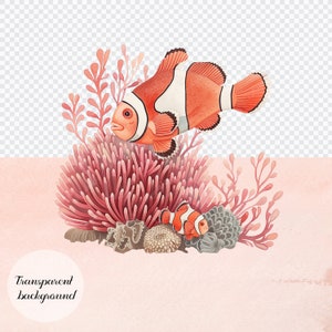 80 Watercolor Sea Ocean Underwater PNG Clip Art Commercial Use Dolphin ...