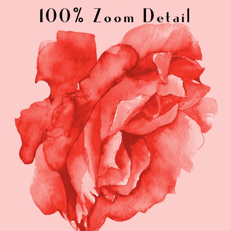 100 Seamless Watercolor Rose Papers 12 Inch,300 Dpi Planner Paper ...