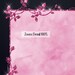 254 Glitter & Watercolor Floral Frames 8.5x11 Clip Arts PNG 300 Dpi ...