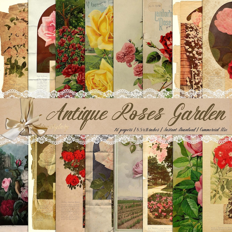 16 Antique Rose Garden Digital Paper 8.5x11 Instant | Etsy