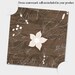 12 Winter Floral Digital Papers in Mint and Brown Color in 12 Inch ...
