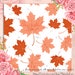 100 Seamless Color Autumn Leaf Digital Papers 12 Inch 300 Dpi - Etsy
