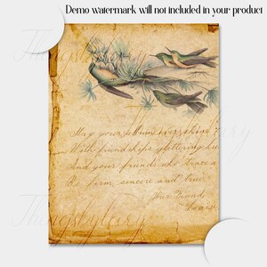 16 Antique Humming Birds Digital Papers 8.5x11 300 Dpi Commercial Use ...