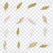 Gold Glitter Feather Sets 16 Cliparts, 300 Dpi, Instant Download ...