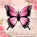 100 Luxury Butterfly Cliparts, Planner Clipart, Colorful Butterfly ...