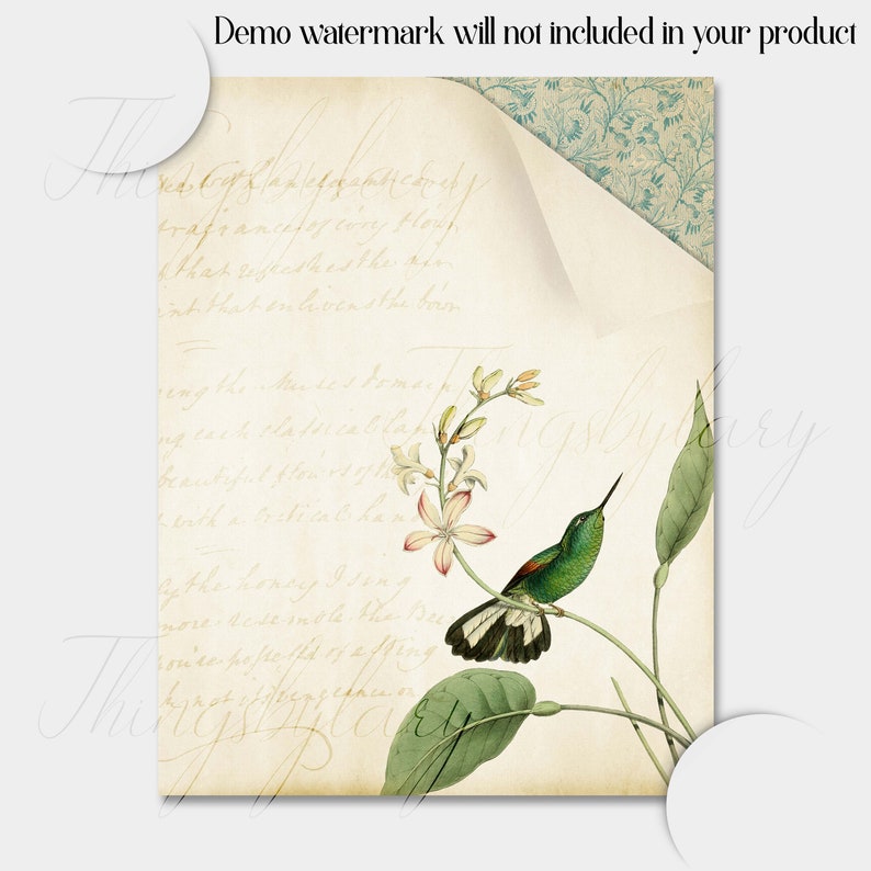 16 Antique Humming Birds Digital Papers 8.5x11 300 Dpi Commercial Use ...