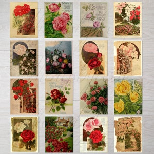 16 Antique Rose Garden Digital Paper 8.5x11" Instant Download ...
