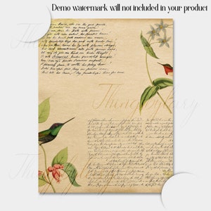 16 Antique Humming Birds Digital Papers 8.5x11 300 Dpi Commercial Use ...