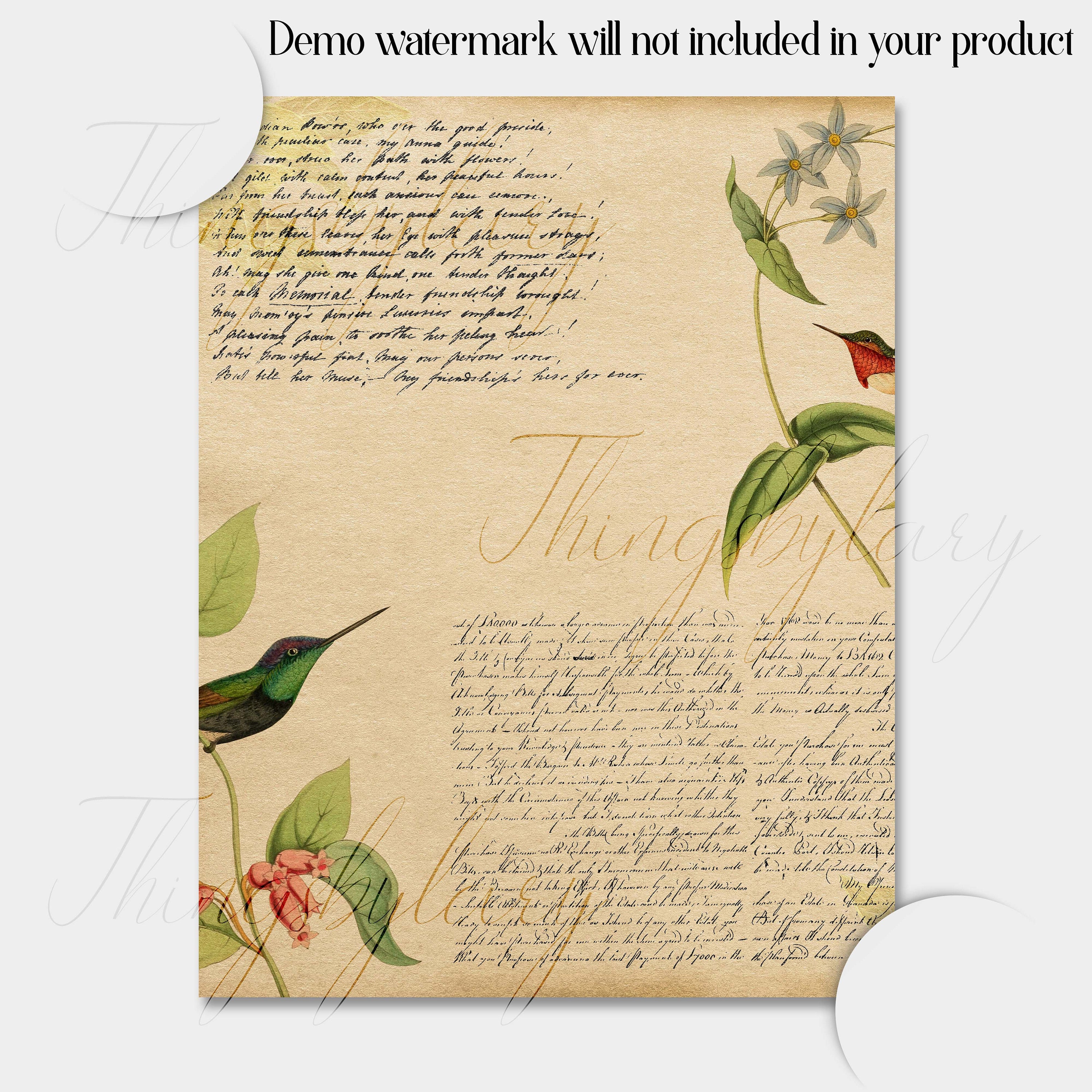 16 Antique Humming Birds Digital Papers 8.5x11 300 Dpi - Etsy