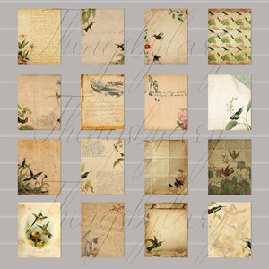 16 Antique Humming Birds Digital Papers 8.5x11 300 Dpi Commercial Use ...