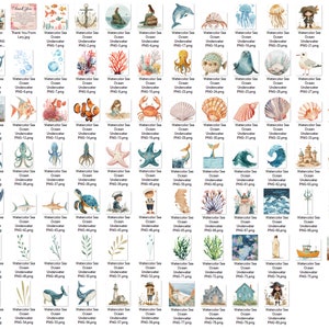 80 Watercolor Sea Ocean Underwater PNG Clip Art Commercial Use Dolphin ...
