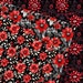 20 Seamless Gothic Floral With Black Digital Papers Commercial Use ...
