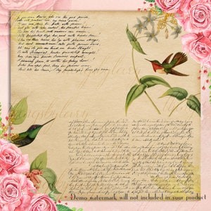 16 Antique Humming Birds Digital Papers 12" 300 Dpi Commercial Use ...
