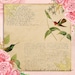 16 Antique Humming Birds Digital Papers 12 300 Dpi Commercial Use ...