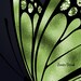 30 Greenery Foil and Glitter Butterfly Digital Images 300 Dpi Instant ...
