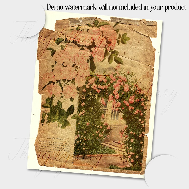 16 Antique Rose Garden Digital Paper 8.5x11 Instant | Etsy