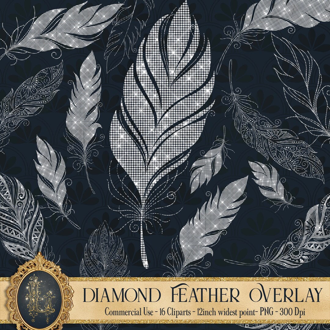 16 Diamond Feather Overlay Clip Arts, Diamond Feather, Feather Clip Art ...