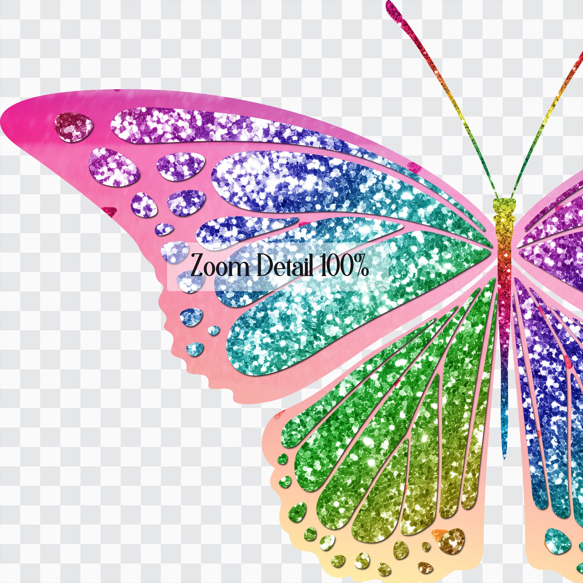 30 Rainbow Glitter & Watercolor Butterfly Clip Arts 300 Dpi | Etsy