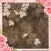 18 Fall Leaf Digital Papers 300 Dpi Instant Download Commercial Use ...
