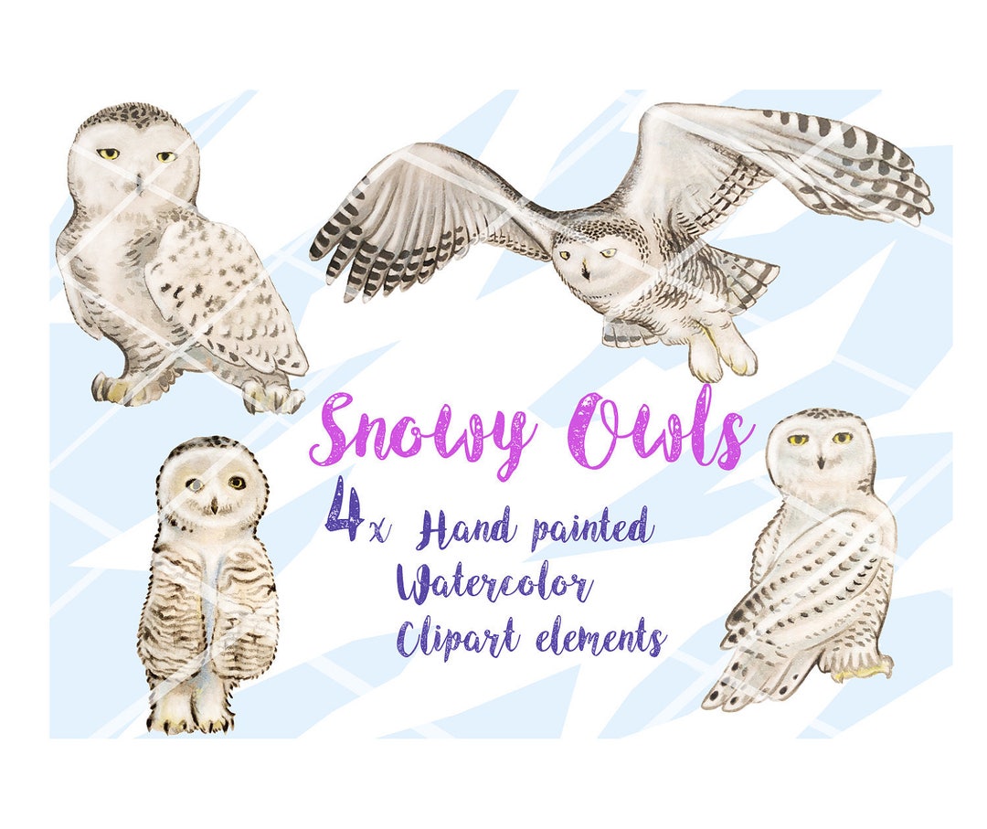 Watercolour Snowy Owl Digital Download Etsy