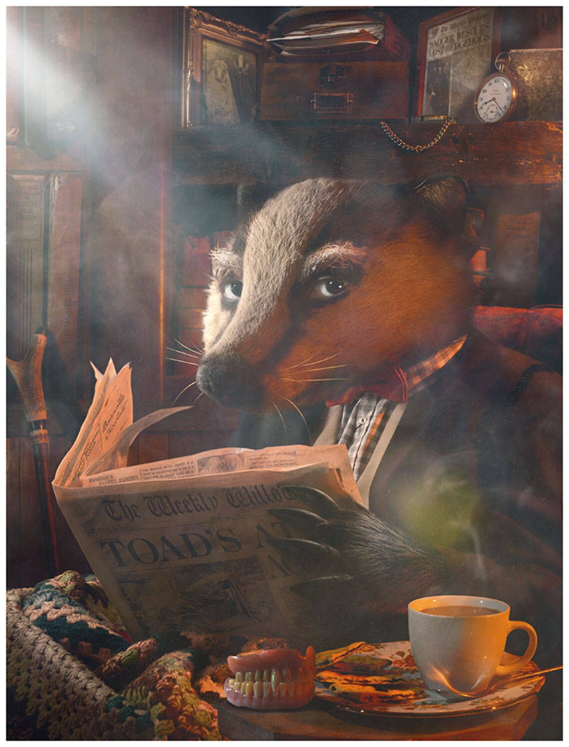 Old Badger Original Photographic Illustration. Limited Edition 16 X 12 ...