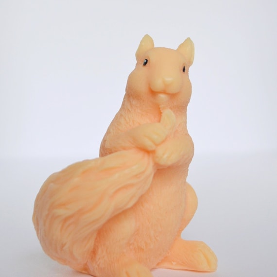 SQUIRREL SOAP Cute Soap for Children Squirrel Lover Gift | Etsy