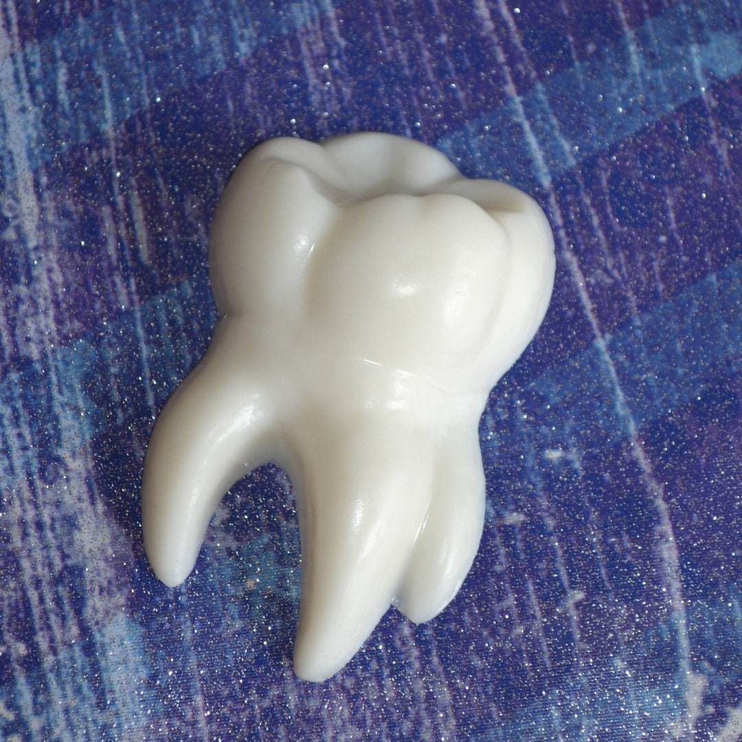 Stocking Stuffer for Dentist, TOOTH SHAPED SOAP, Dentist Gift, Dentist ...
