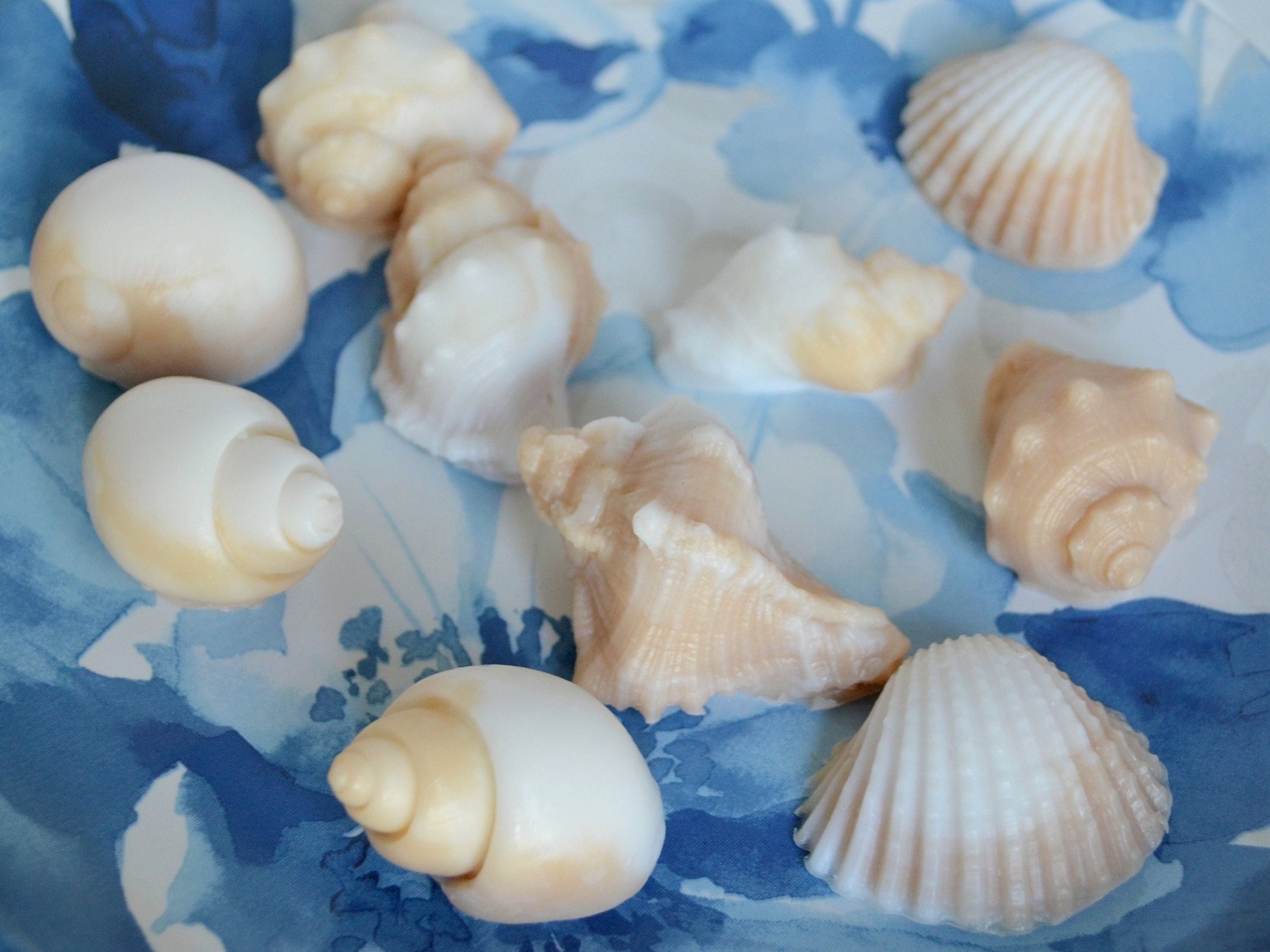 SEASHELL SOAP SET 10 Beach Party Favors Shell Shaped Soaps - Etsy