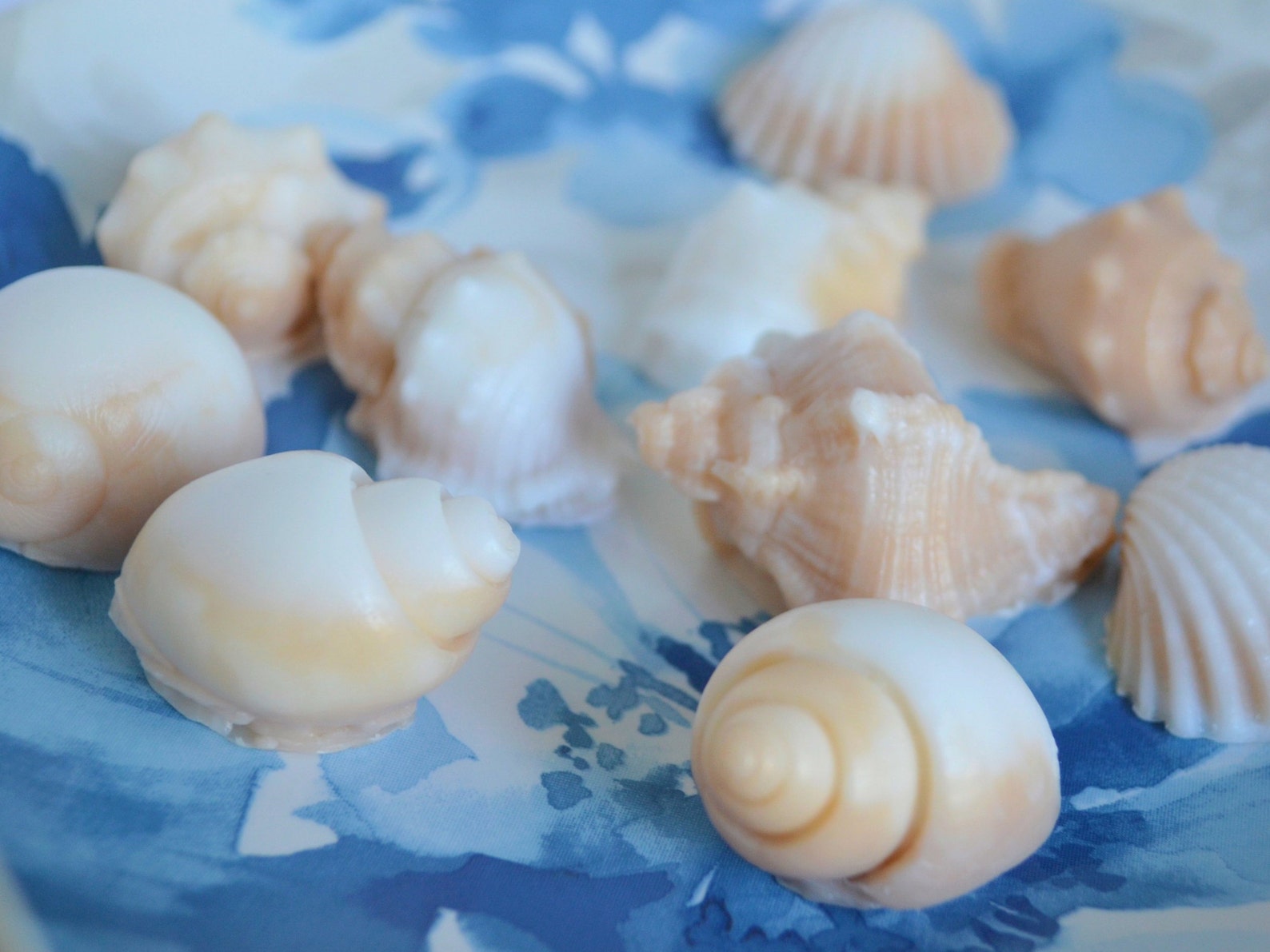 SEASHELL SOAP FAVORS 25 Beach Wedding Favors Ocean Themed | Etsy