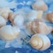 SEASHELL SOAP SET 10 Beach Party Favors Shell Shaped Soaps - Etsy