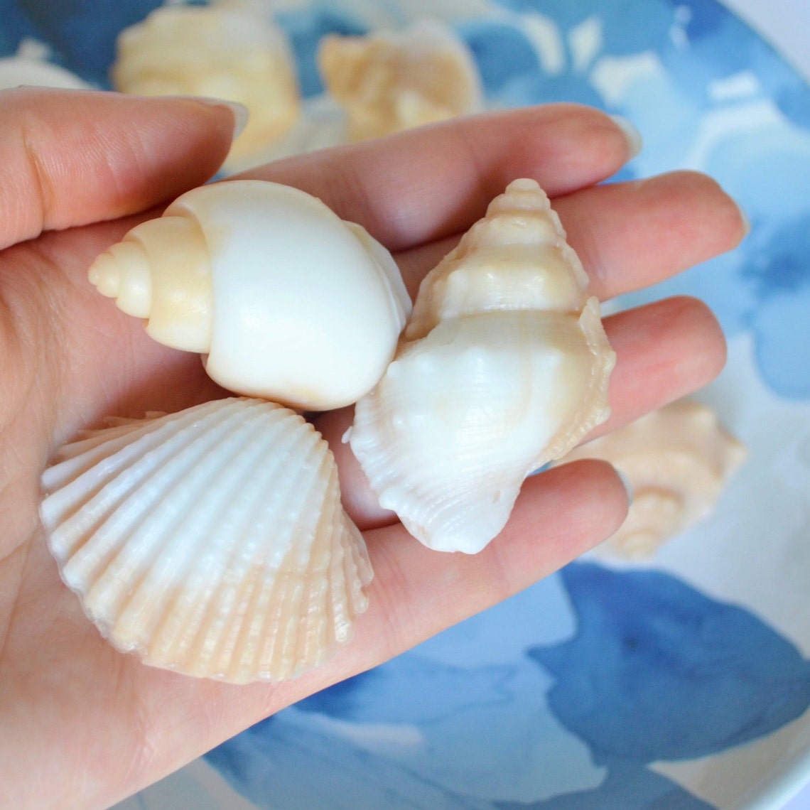 SEASHELL SOAP SET 10 Beach Party Favors Shell Shaped Soaps | Etsy