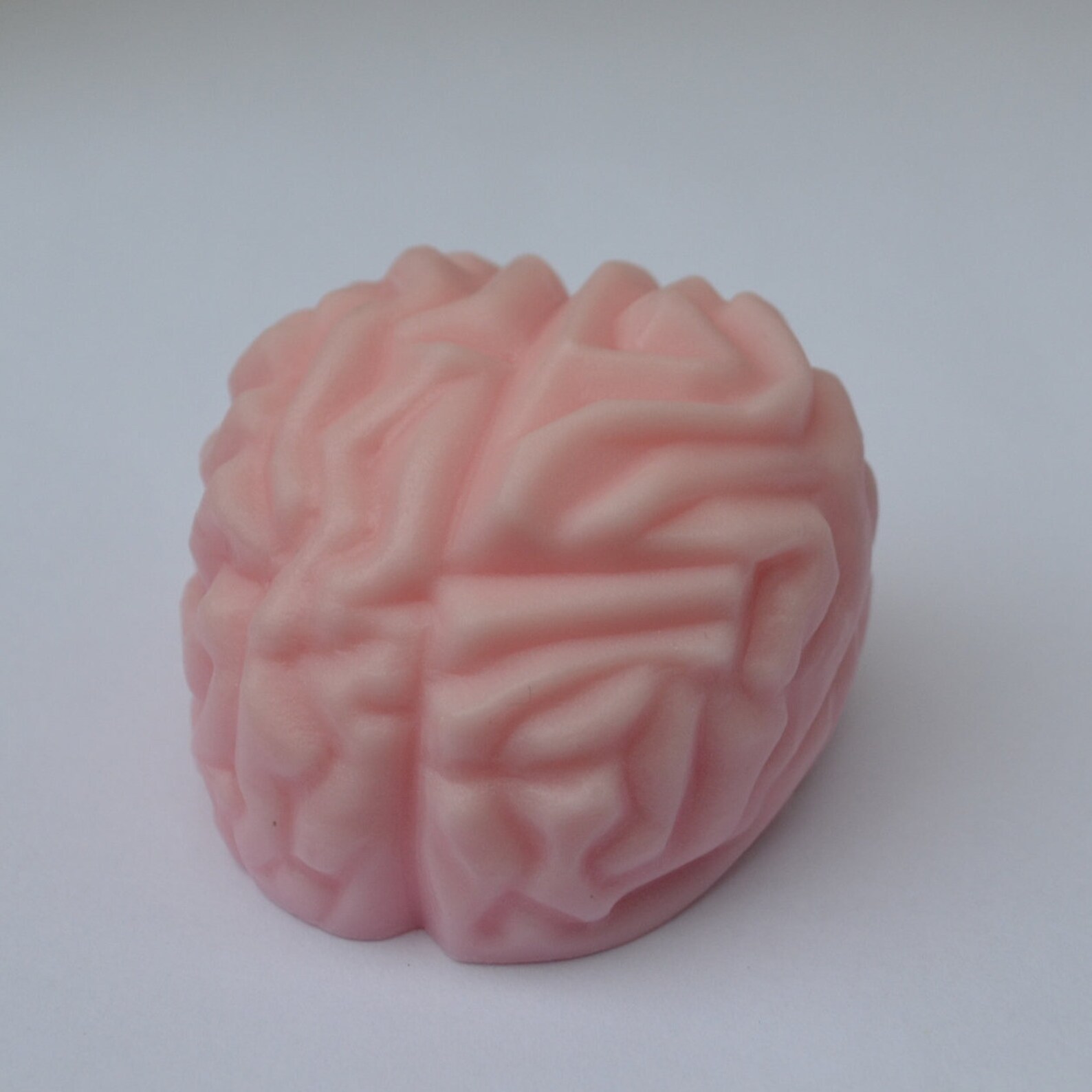 BRAIN SHAPED SOAP Gag Gift Nurse Gift Surgeon Gift Doctor | Etsy