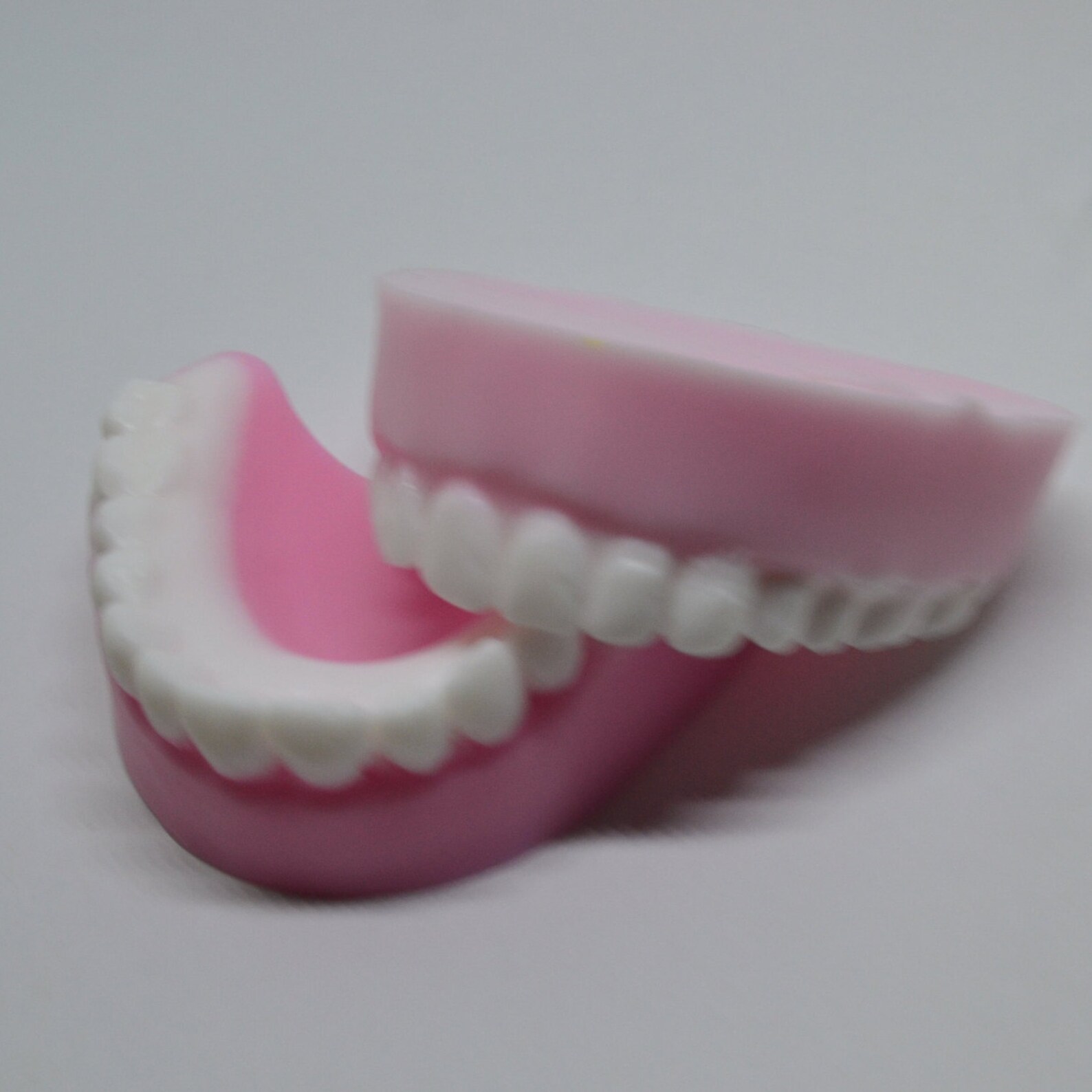 Dentist Gift DENTURE TEETH SOAP Nurse Gift Dentures Soap - Etsy