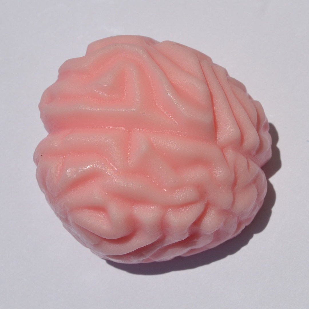 BRAIN SHAPED SOAP, Gag Gift, Nurse Gift, Surgeon Gift, Doctor, Medical ...