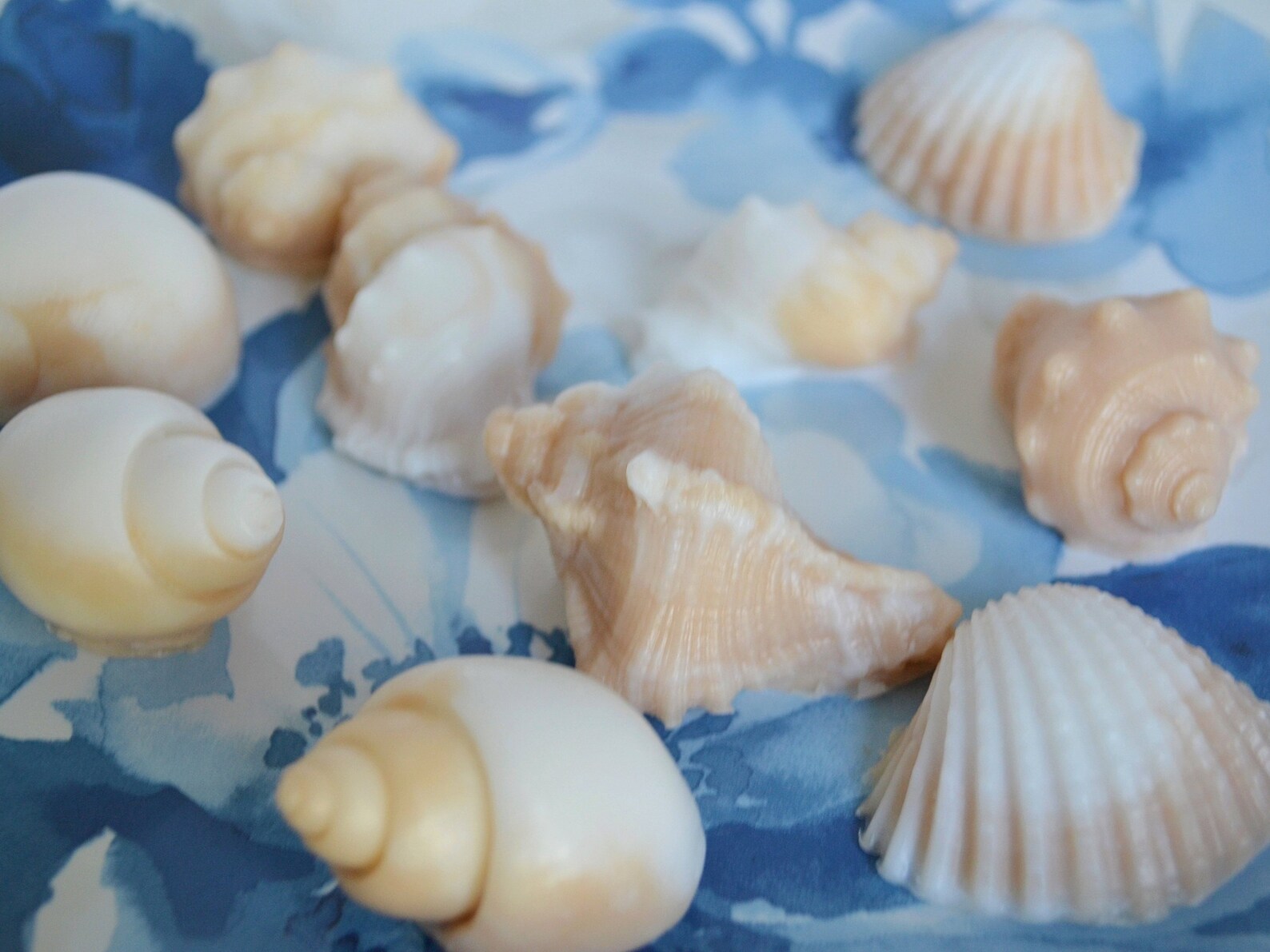 SEASHELL SOAP SET 10 Beach Party Favors Shell Shaped Soaps - Etsy