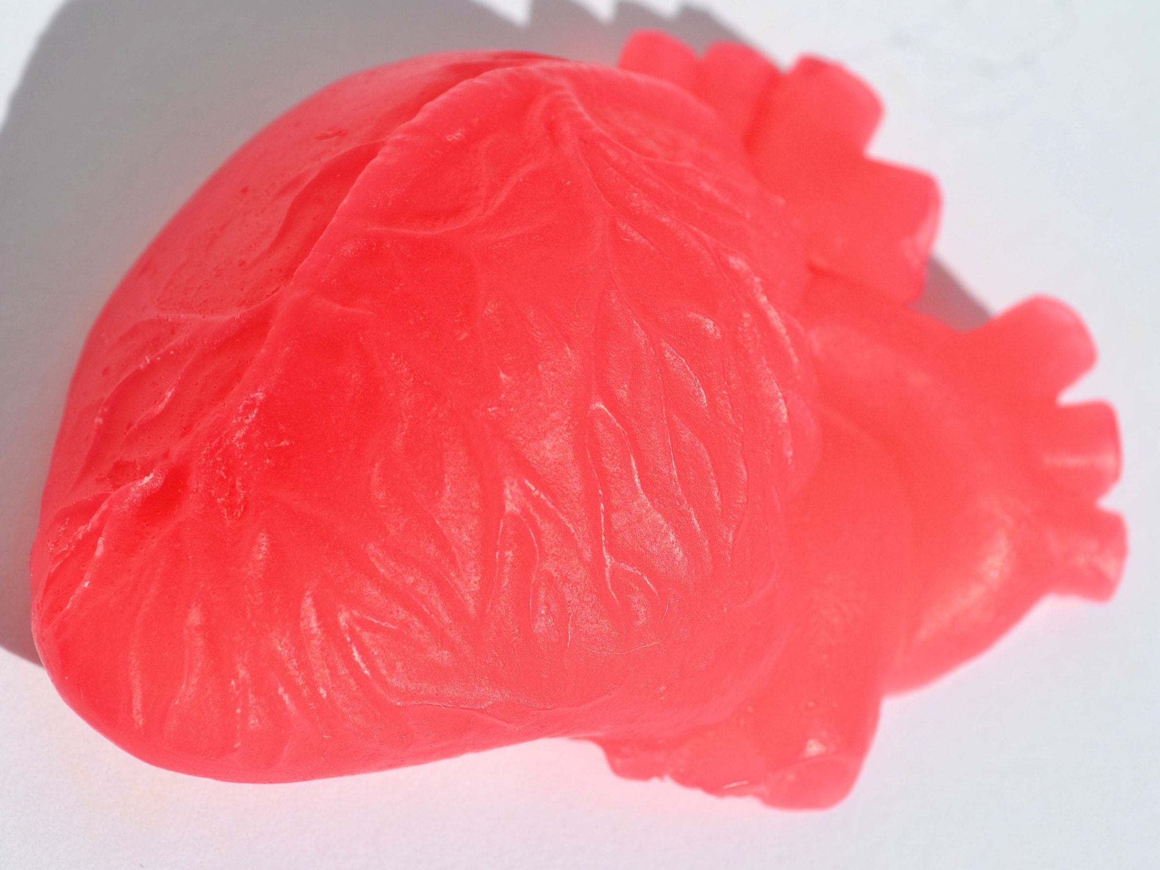 ANATOMICAL HEART SOAP Human Heart Shaped Soap Nurse Gift - Etsy