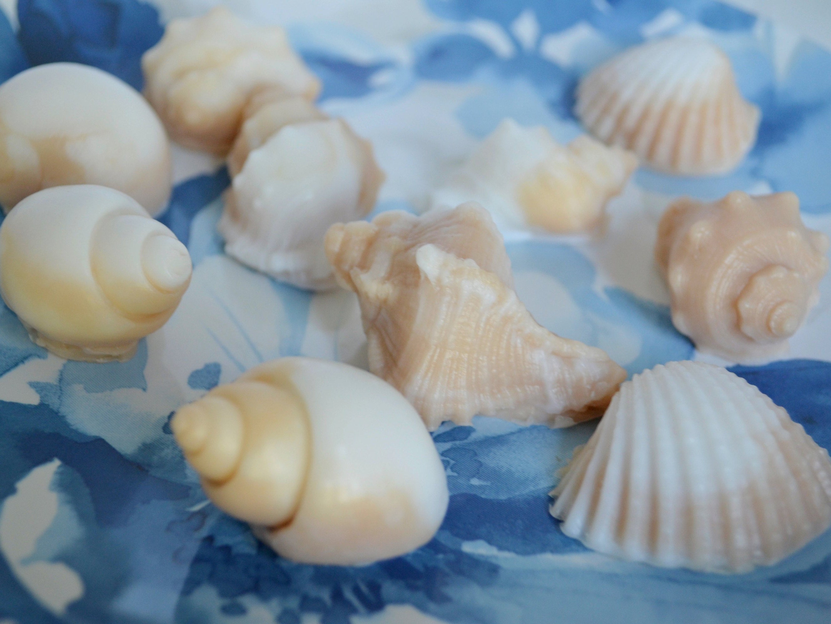 SEASHELL SOAP SET 10 Beach Party Favors Shell Shaped Soaps - Etsy