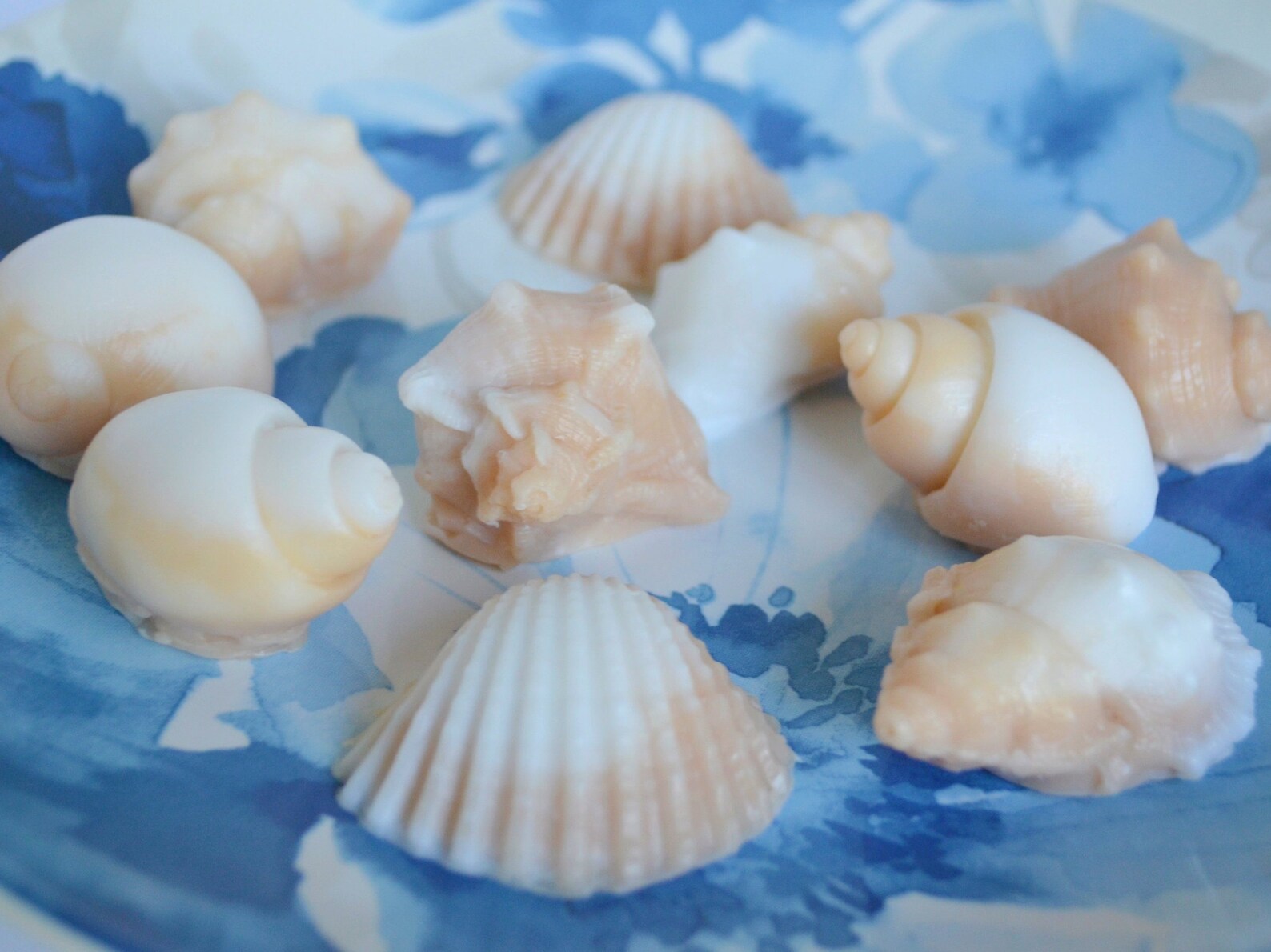 SEASHELL SOAP SET 10 Beach Party Favors Shell Shaped Soaps - Etsy
