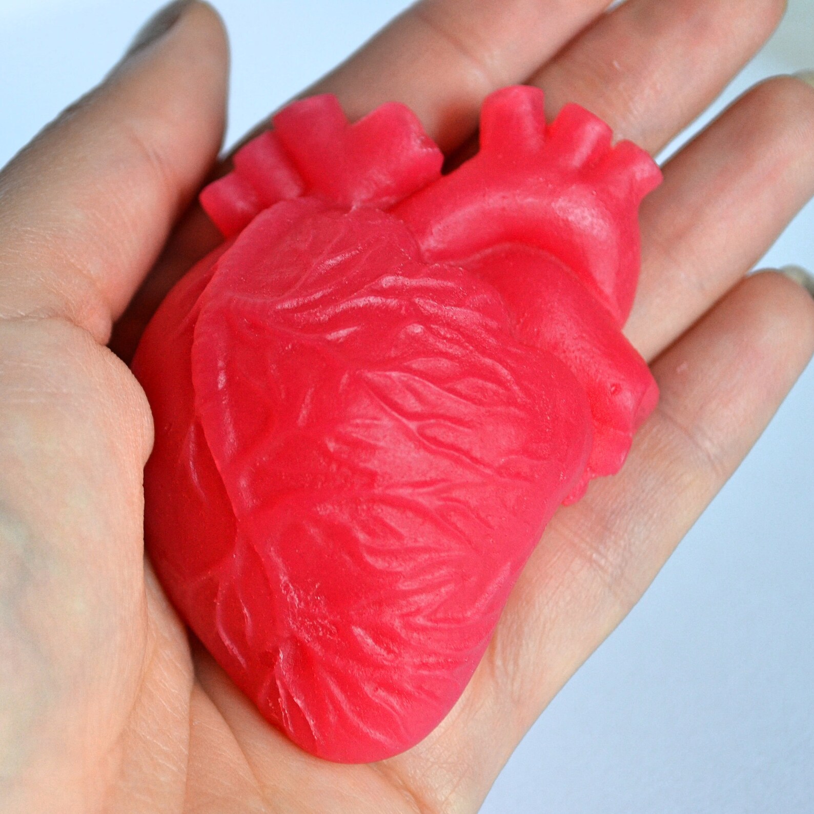 ANATOMICAL HEART SOAP, Human Heart Shaped Soap, Nurse Gift, Gift for ...