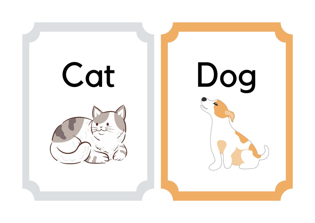 5 Main Flash Card for Animals - Etsy