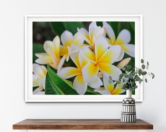Frangipani Wall Art - Etsy