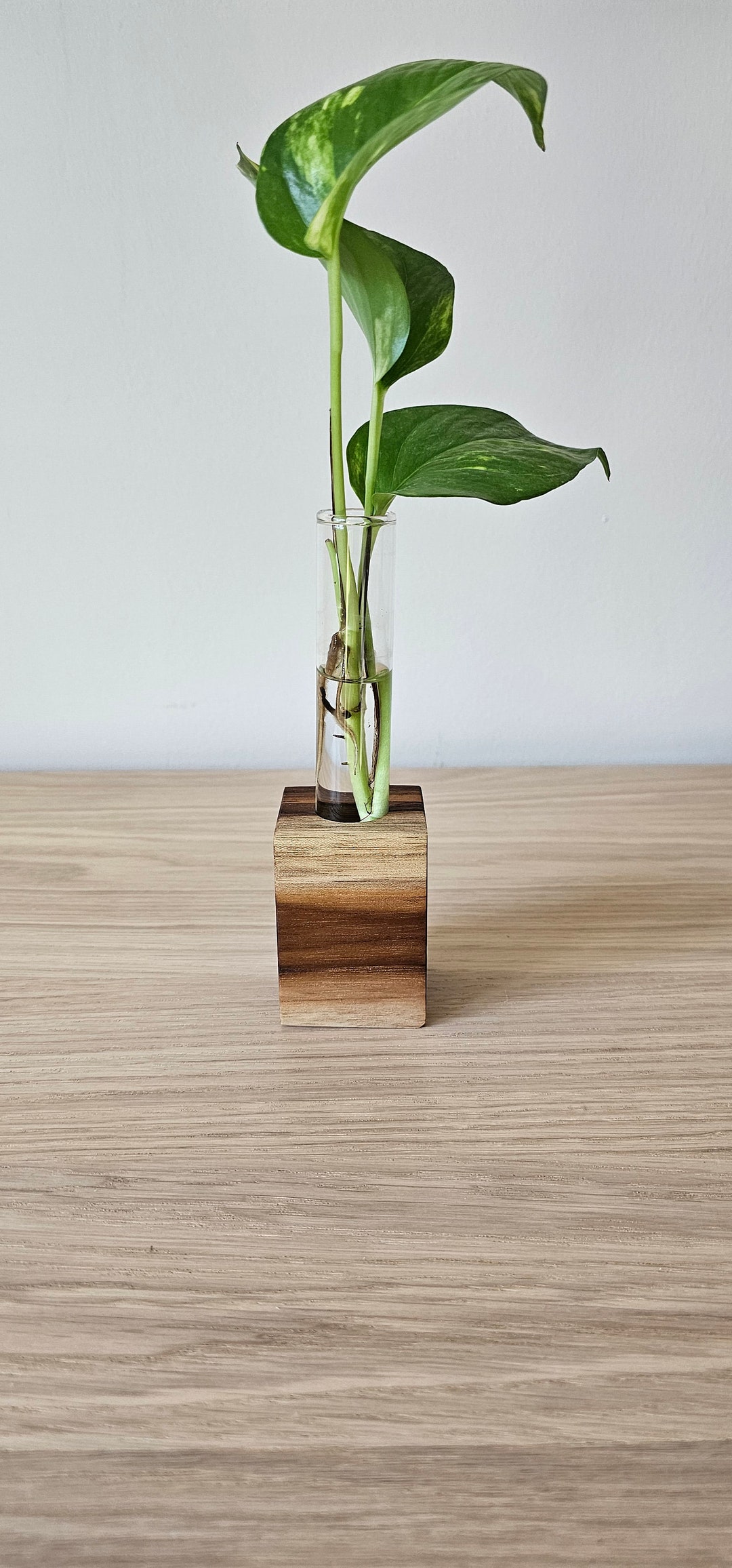 Teak Wood Propagation Station / Wooden Plant Stand / Plant Lover Gifts ...
