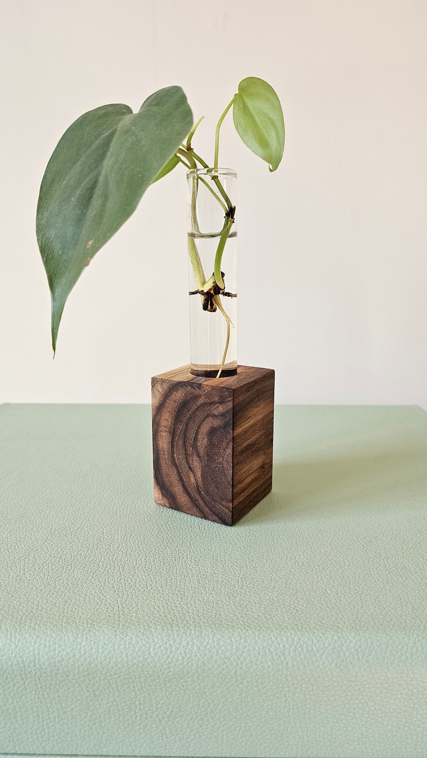 Teak Wood Propagation Station / Wooden Plant Stand / Plant Lover Gifts ...