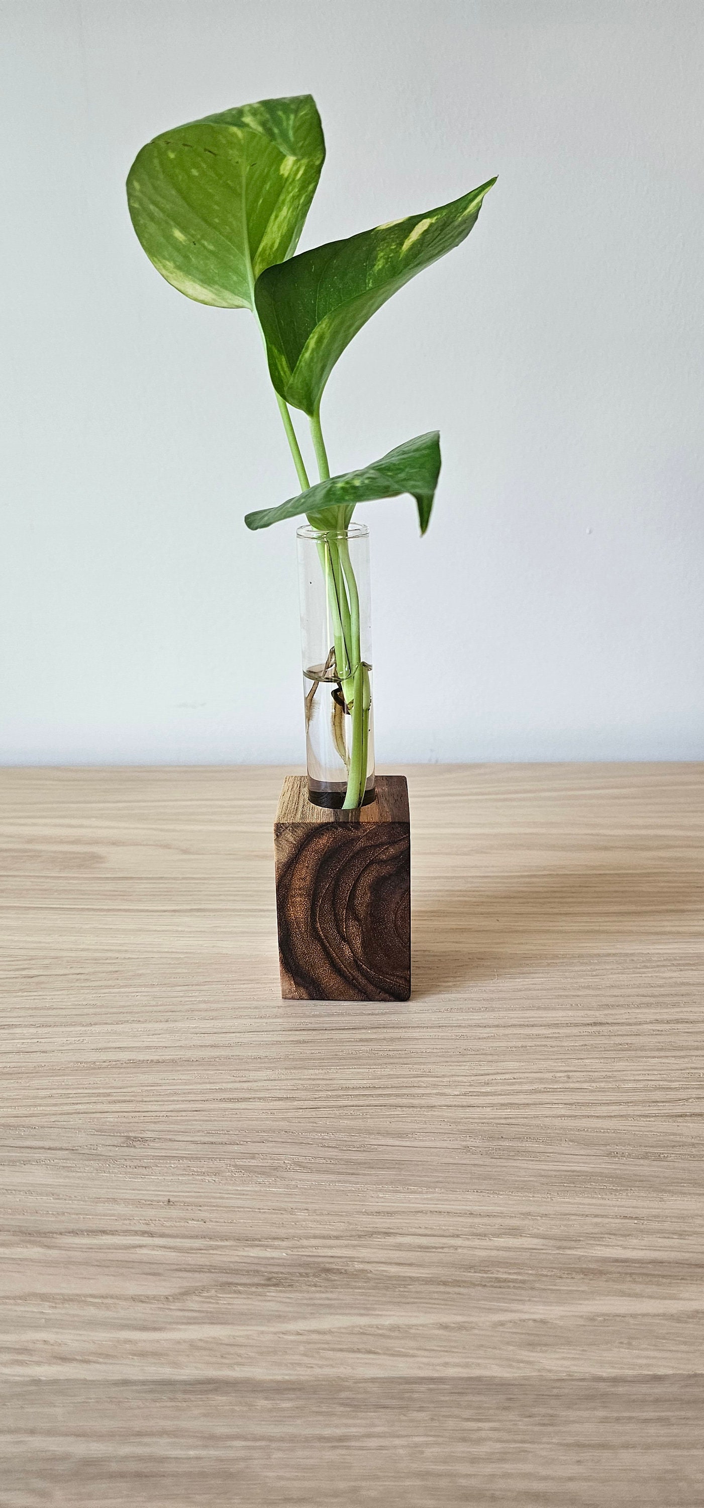 Teak Wood Propagation Station / Wooden Plant Stand / Plant Lover Gifts ...