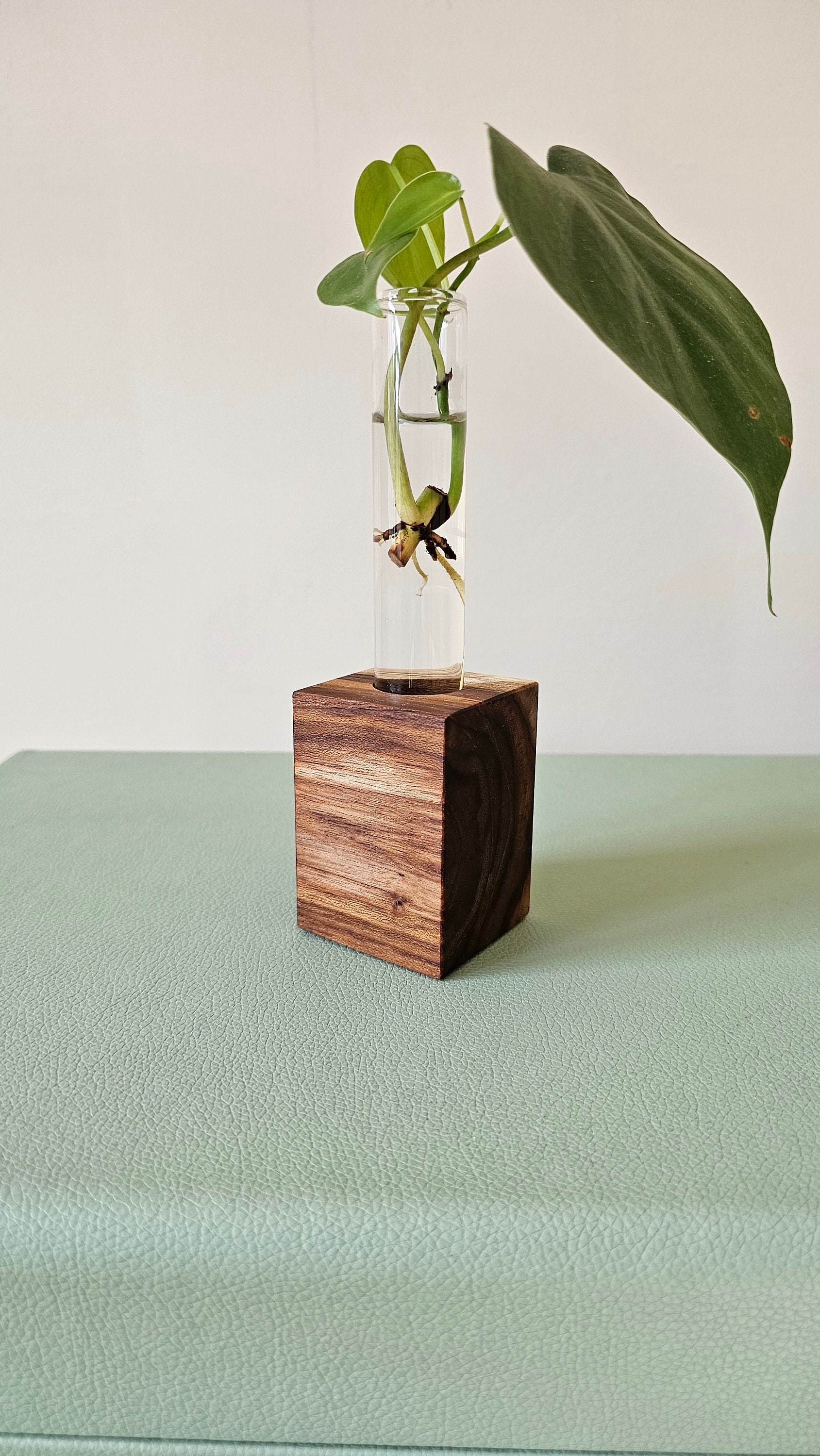 Teak Wood Propagation Station / Wooden Plant Stand / Plant Lover Gifts ...