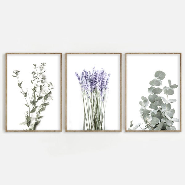 Botanical Print Set - Etsy