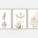 Botanical Print Set of 3, Wild Flowers Prints, Farmhouse Printable Wall ...