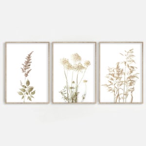 Botanical Print Set of 3, Wild Flowers Prints, Farmhouse Printable Wall ...